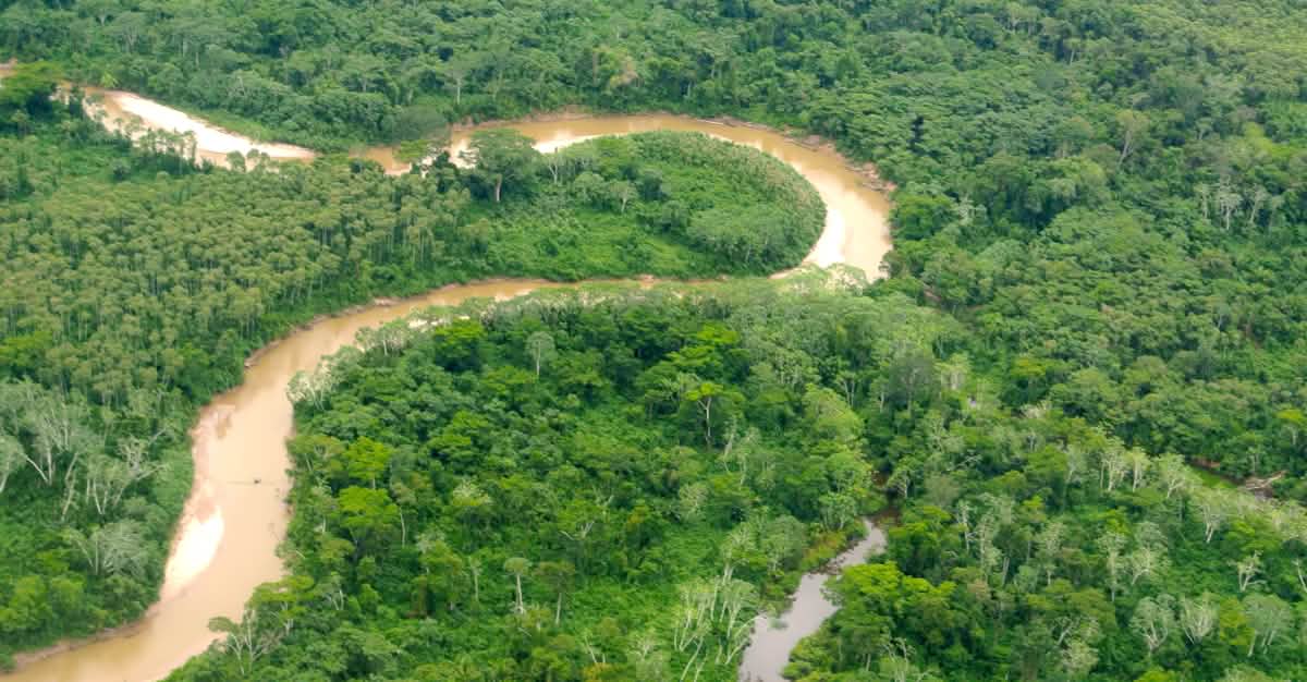 Clima e foreste tropicali in breve - Salviamo la Foresta - Salviamo la ...