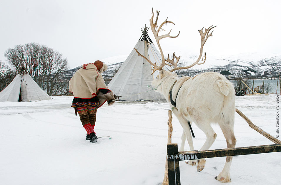 Finlandia: riconoscete i diritti degli indigeni Sami, ORA! - Salviamo ...